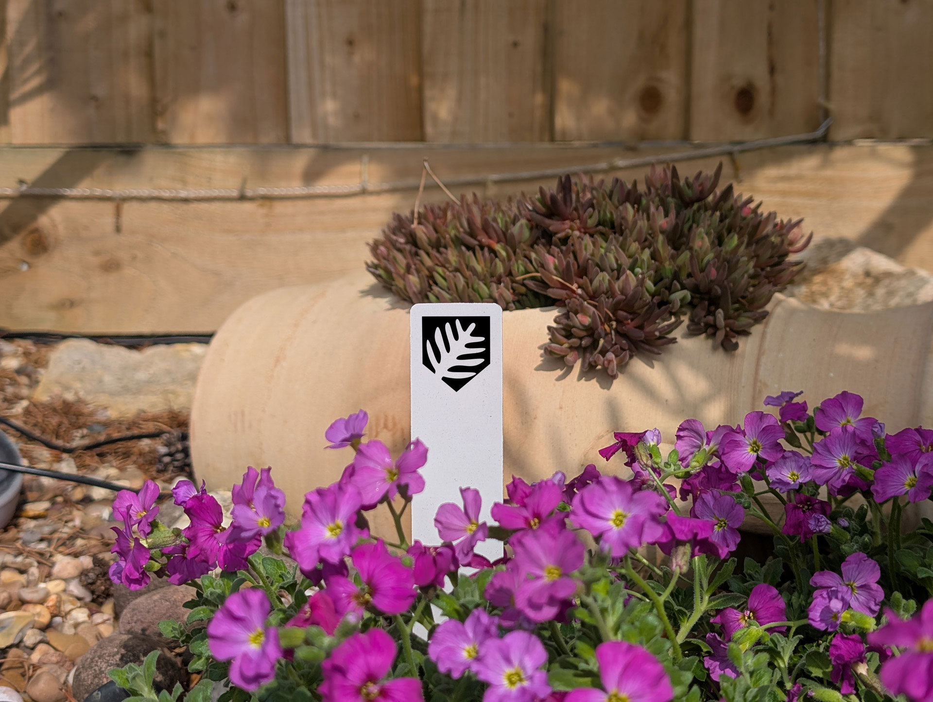 Petals - Smart Plant Labels